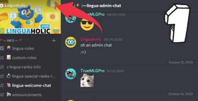 How to Check the Member Count of a Discord Server (Desktop/Mobile)
