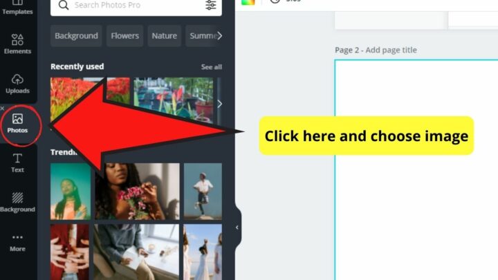 How to Make a Background Transparent in Canva? Here's How!