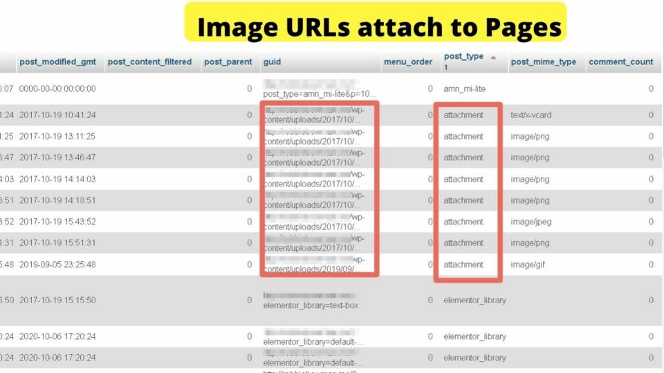 Where are WordPress Pages Stored — The Answer