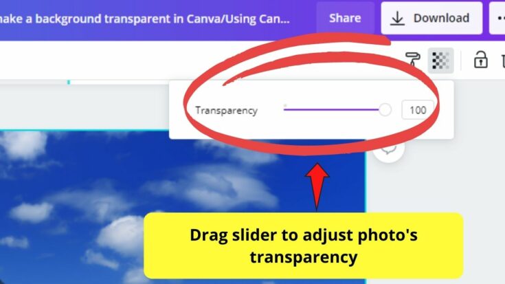 How to Make a Background Transparent in Canva? Here's How!