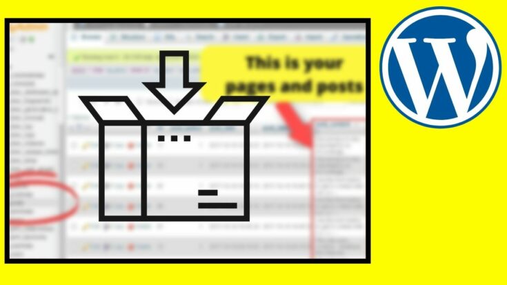 Where are WordPress Pages Stored — The Answer