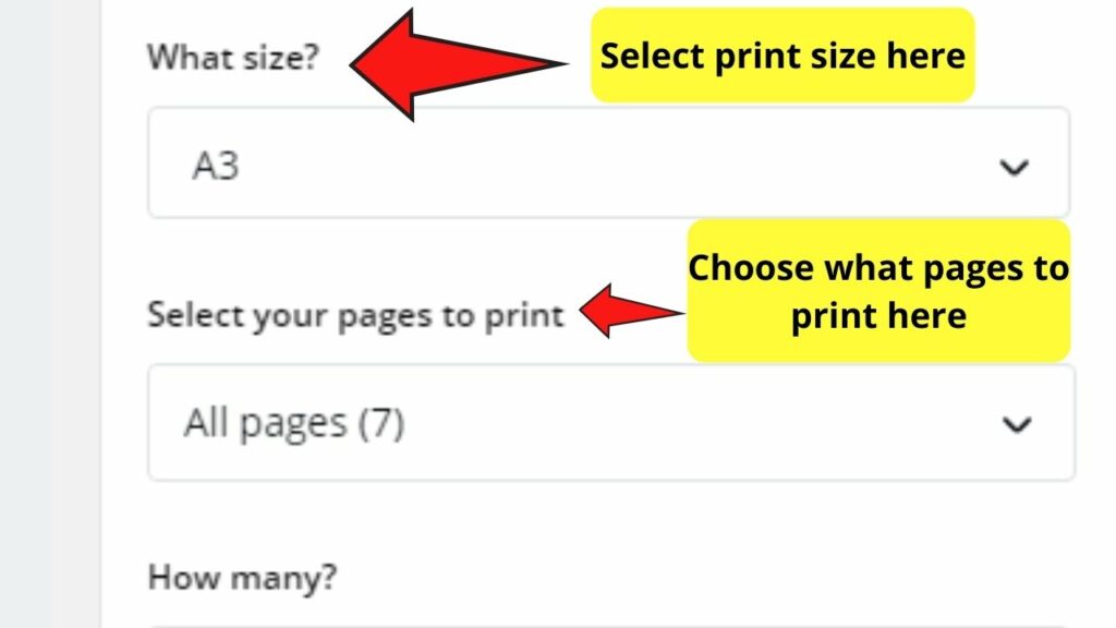 How to Print in Canva — 2 Easy Ways