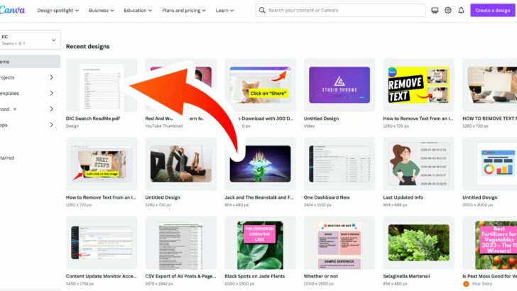 How to Upload a PDF to Canva — Quick Guide