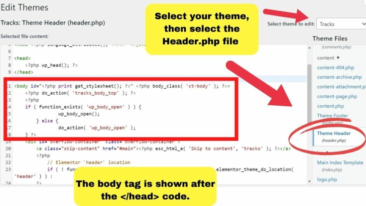 Where to Find the Body Tag in WordPress? — The Answer