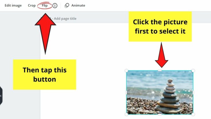 How to Mirror an Image in Canva — Your One-stop Guide