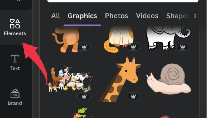 How to Create a Favicon in Canva — Step-by-step Guide