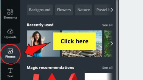 How to Mirror an Image in Canva — Your One-stop Guide