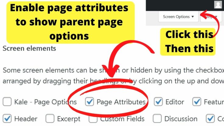 How to Create a Parent Page in WordPress — Complete Guide