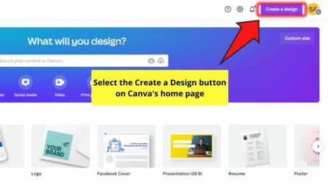 How to Set the Dimensions in Canva — The Definitive Answer