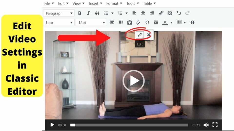 how-to-insert-a-video-into-wordpress-the-complete-guide