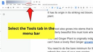 The 2 Best Methods to Remove a Hyperlink in Google Docs