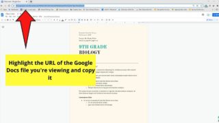 How to View Two Pages Side by Side in Google Docs