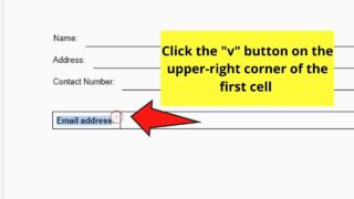 3 Ways to Create a Fillable Form in Google Docs