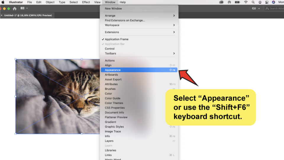 How to Create a Border Around an Image in Illustrator
