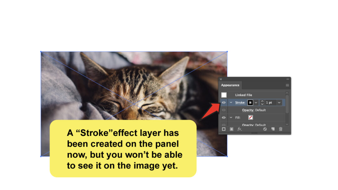 How to Create a Border Around an Image in Illustrator