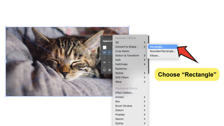 How to Create a Border Around an Image in Illustrator