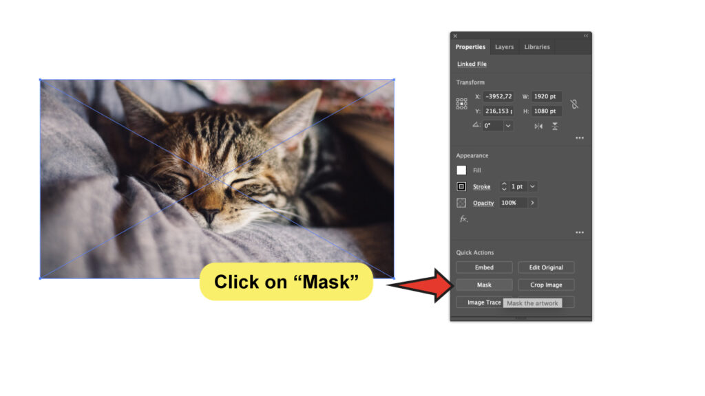 How to Create a Border Around an Image in Illustrator