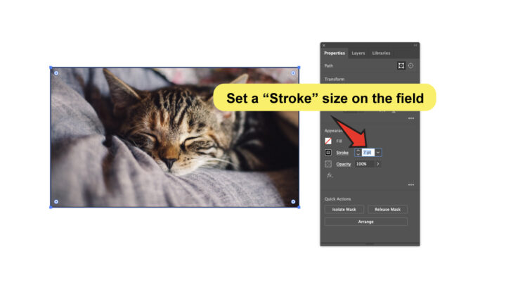 How to Create a Border Around an Image in Illustrator