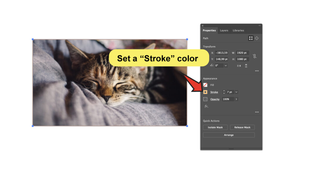 How to Create a Border Around an Image in Illustrator