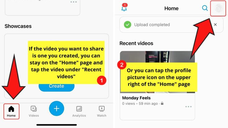 How to Share a Vimeo Video on Instagram — Best Guide [2023]