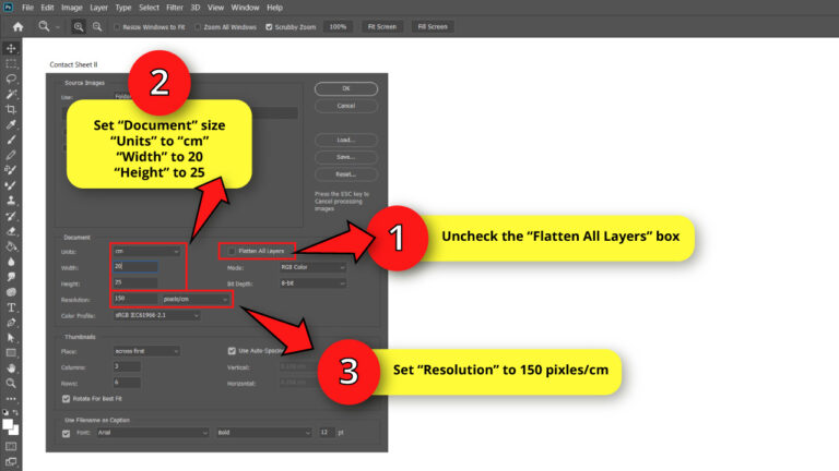Creating a Contact Sheet in Photoshop — The Complete Guide