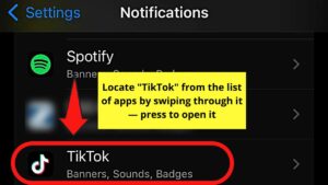 The 3 Best Ways to Turn Off Notifications on TikTok