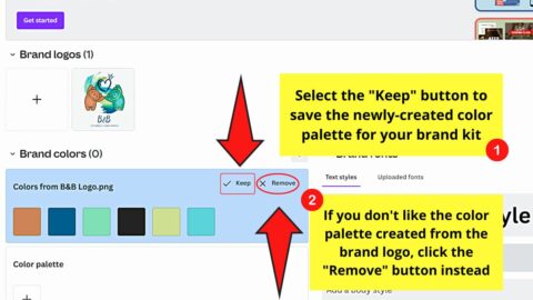 Create a New Brand Kit in Canva with Ease — In-depth Guide