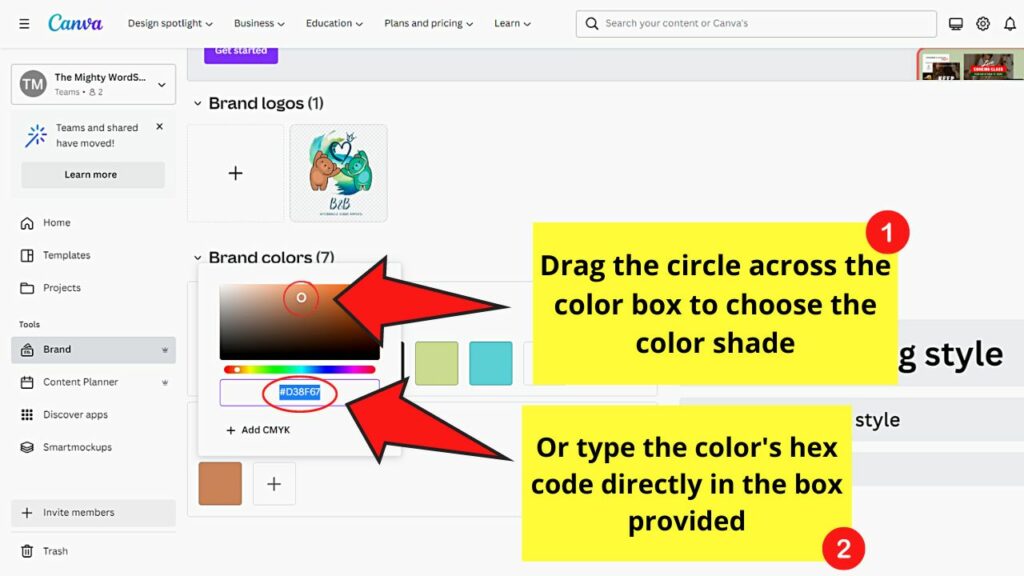 Create a New Brand Kit in Canva with Ease — In-depth Guide