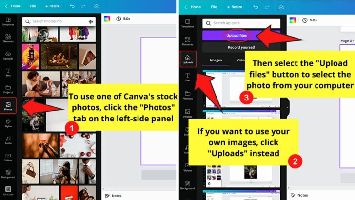 How to Cut Out an Image in Canva — Like a Pro
