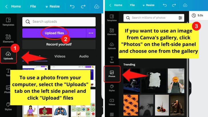 Distorting an Image in Canva — Here's How You Do It