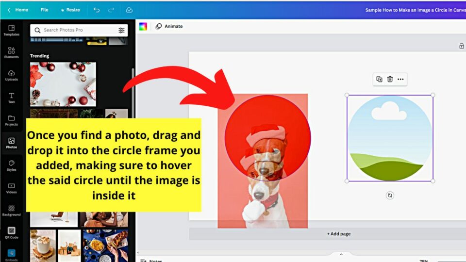 The 2 Best Ways to Make an Image a Circle in Canva