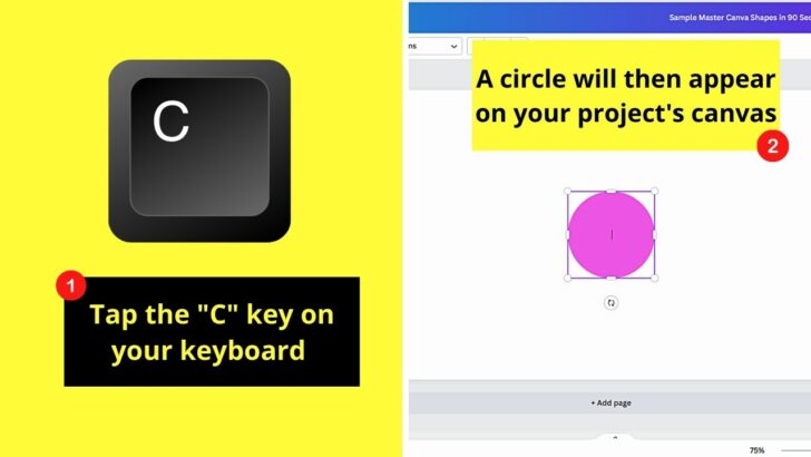 Working with Shapes in Canva — All You Need to Know